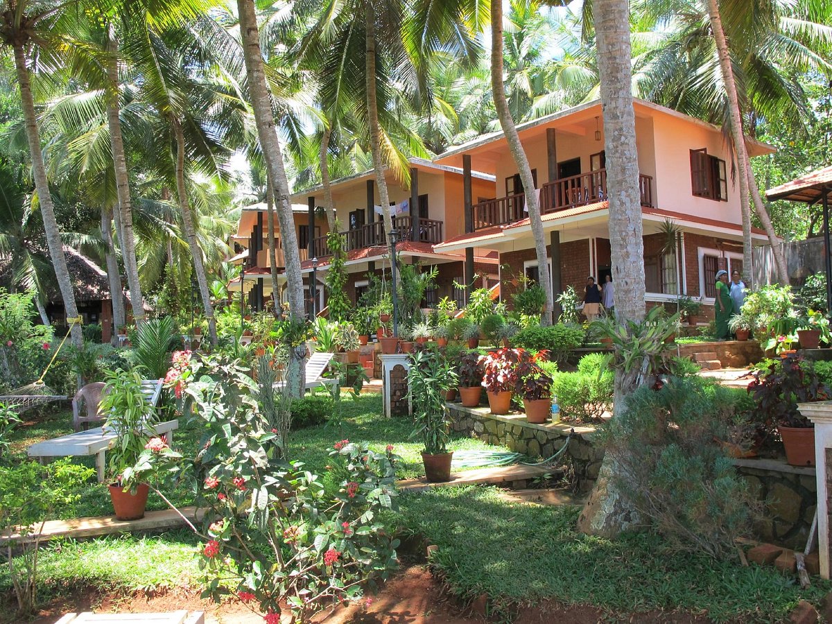 10 Best Ayurvedic Resorts in Kerala Top Ayurveda Spa Resorts in Kerala